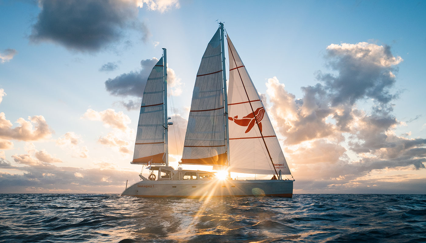 De Villiers Marine Design - Home - De Villiers Marine Design